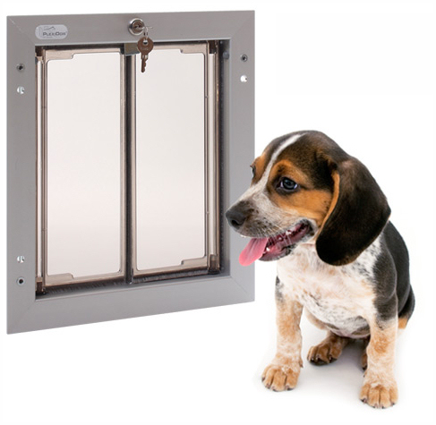 What size PlexiDor do I need for my Beagle? - Dog Doors | Cat Doors